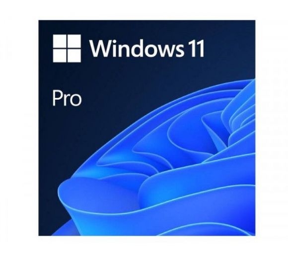 Microsoft - Win 11 Pro GGK 64Bit Eng Intl 1pk DSP ORT OEI DVD