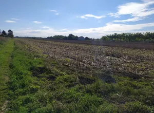 Prodaja Građevinsko zemljište - Pančevo, Karaula