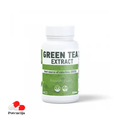 Green Tea Extract – Ekstrakt Zelenog čaja 30cap