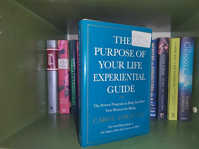 Purpose of Your Life Experimental Guide