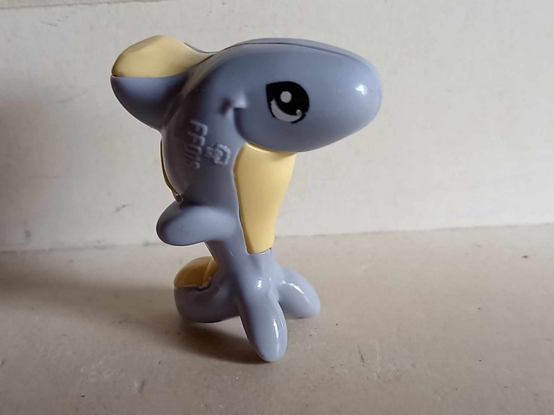 Kinder FF016