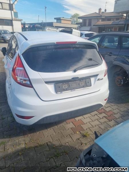 Ford Fiesta Trap I Vesanje