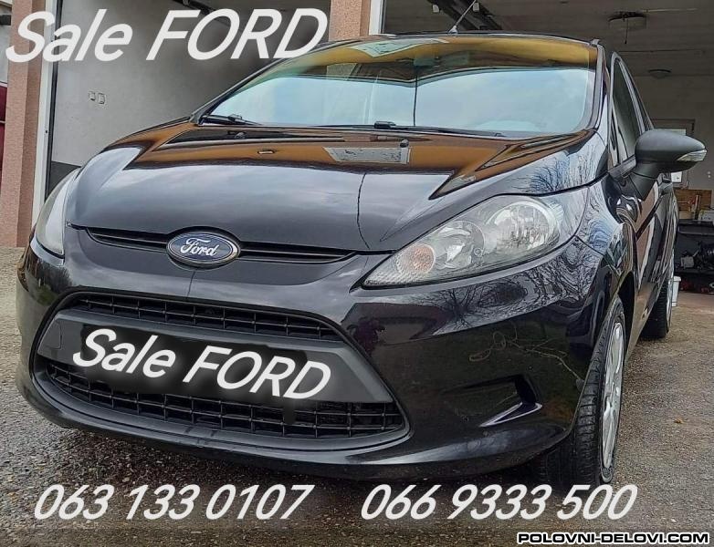 Ford Fiesta Trap I Vesanje