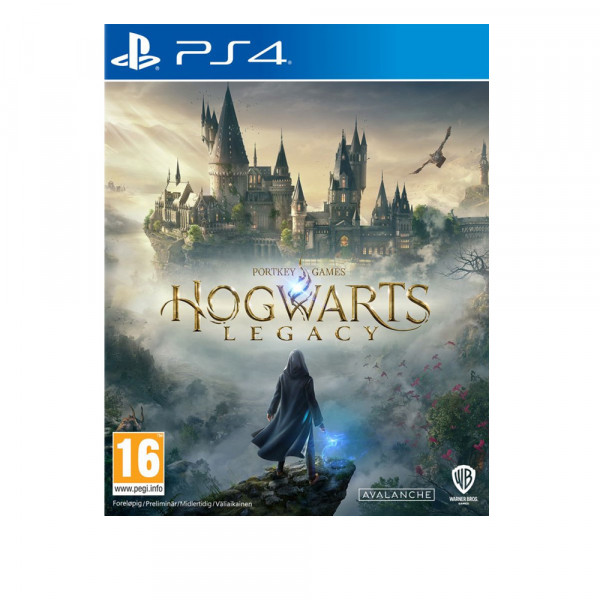 Warner Bros PS4 Hogwarts Legacy