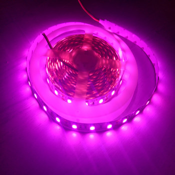 LED TRAKA PINK 60X (5050),12V