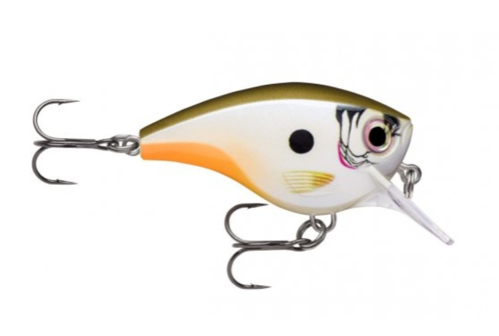 RAPALA BX BIG BRAT BXBB06 CUP