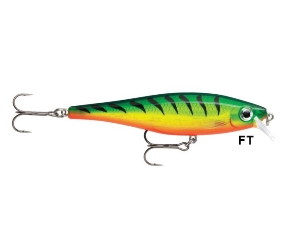 RAPALA BX MINNOW BXM10 FT