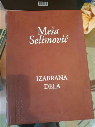Mesa Selimovic 1-6