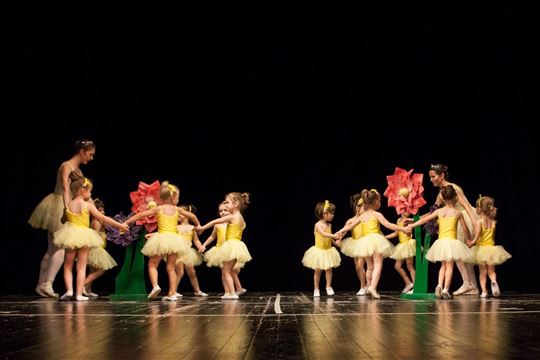 Novi Beograd - balet za decu uzrasta 3-12 godina