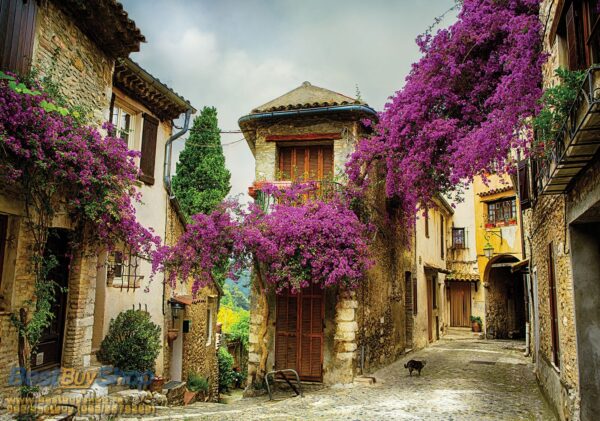 254×184 City (Gassin Provence France Historic House) – Francuska – Provansa – 3D fototapeta zidni mural foto tapeta