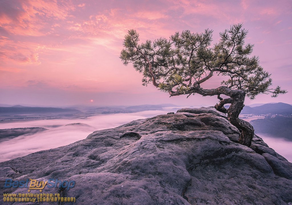 254×184 Nature (Mountain Peak Lonely Tree) – Planinski vrh – Planina – – 3D fototapeta zidni mural foto tapeta