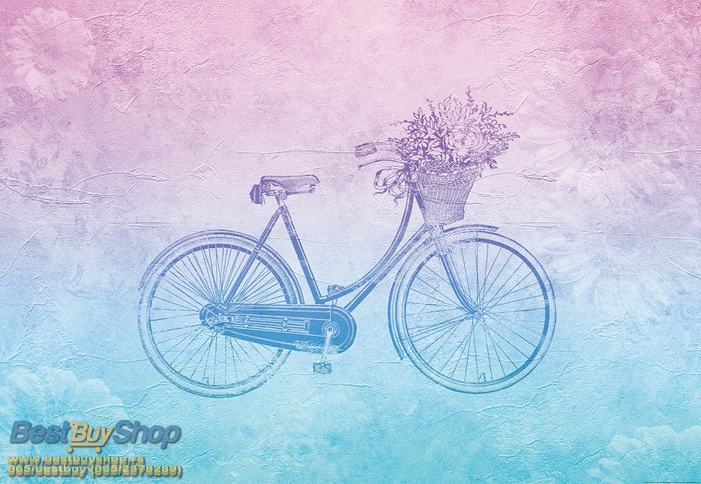 368×254 Abstraction (Vintage Flower Bicycle) – Bicikl sa korpom cveća – 3D fototapeta zidni mural foto tapeta