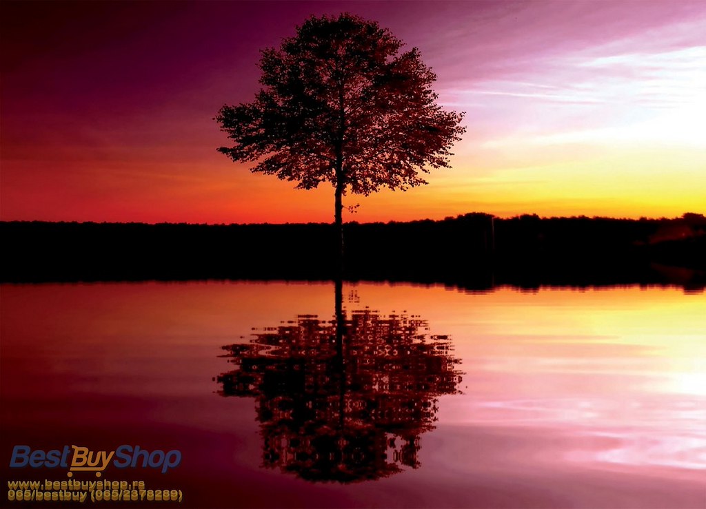 368×254 Nature (Tree Sunset Reflection) – Drvo – Refleksija – Reka – 3D fototapeta zidni mural foto tapeta