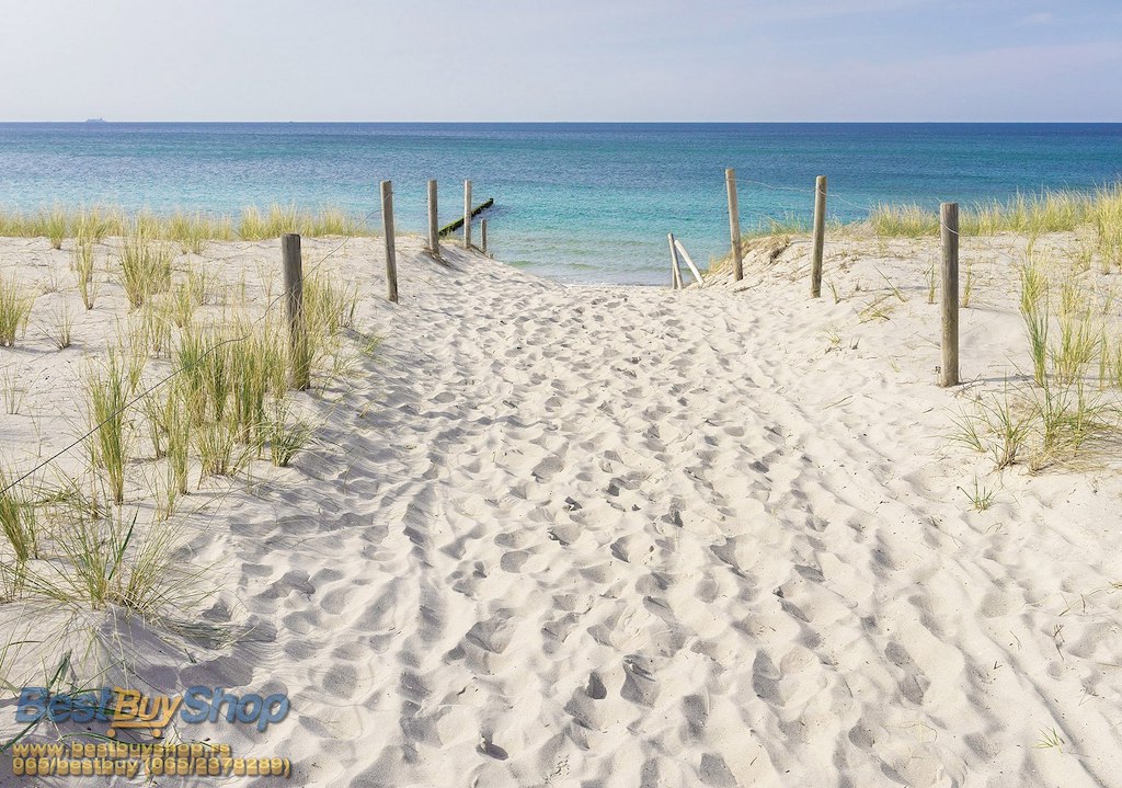 368×254 Sea (Sand Road By North Sea) – More – Priroda – Peščana plaža – 3D fototapeta zidni mural foto tapeta