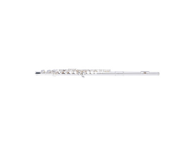 Stagg WS-FL211S
C Flute, closed holes, offset G, split E