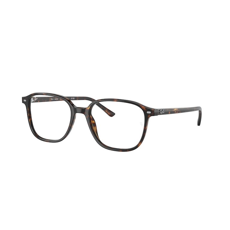 RAY BAN LEONARD TRANSITIONS® Sunčane naocare 0RB2193 902/GH 53