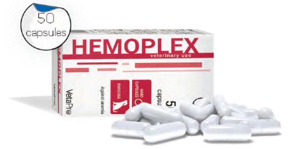HEMOPLEX 50 capsules 1cap=330mg
