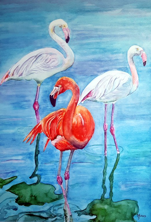 FLAMINGOSI