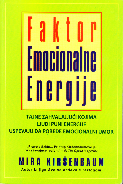 Faktor emocionalne energije