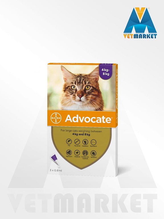 ADVOCATE CAT spot-on 4-8kg
