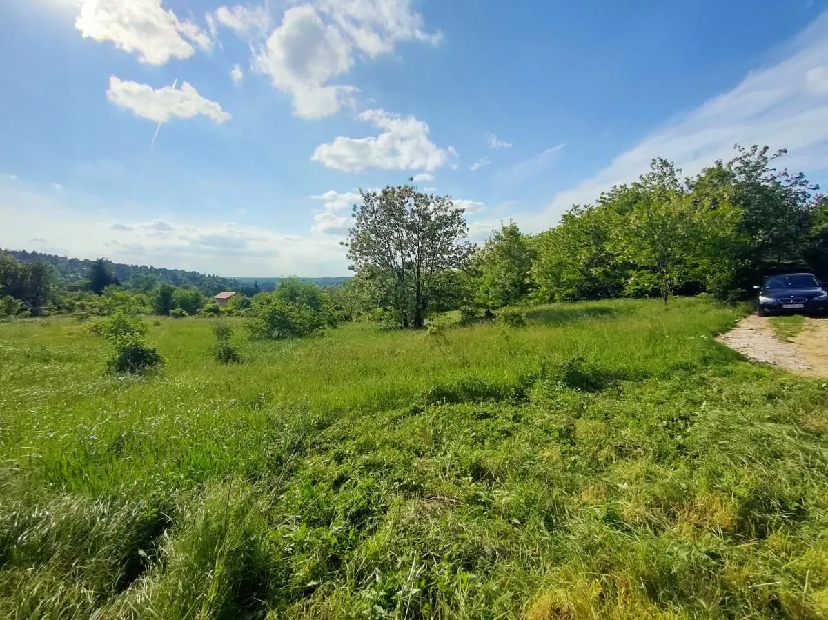 Prodaja, zemljište, 5000m2, Ledinci, Petrovaradin, Novi Sad