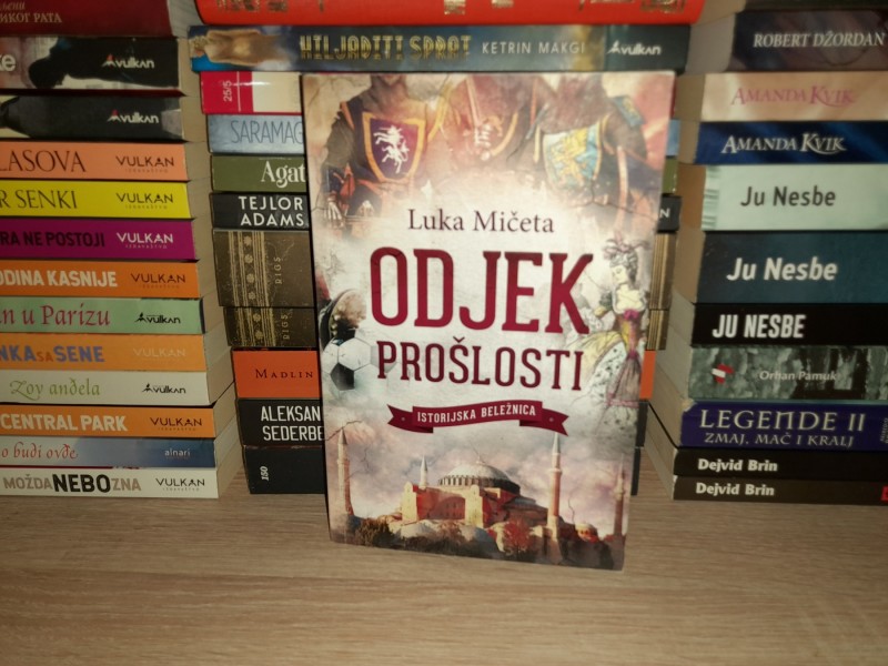 Odjek prošlosti - Luka Mičeta