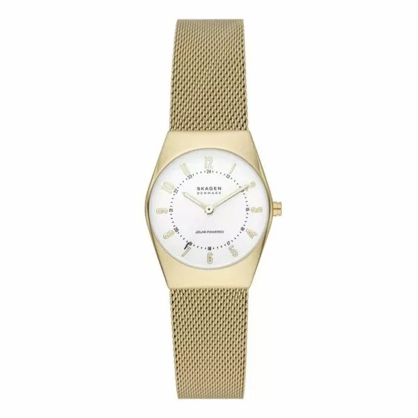 Skagen SKW3077