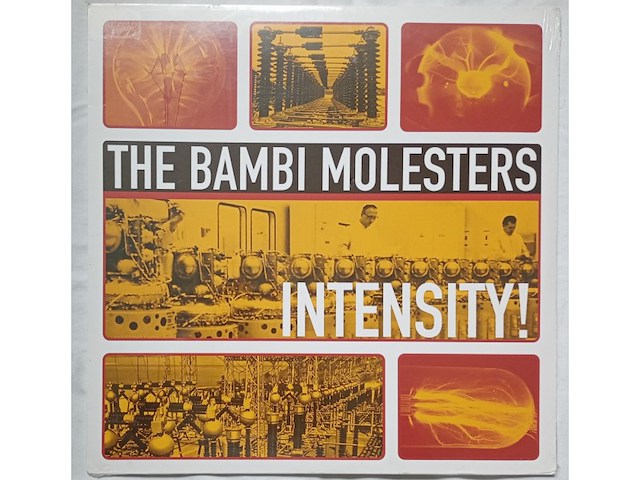 THE  BAMBI  MOLESTERS  -  INTENSITY (Novo !!!)