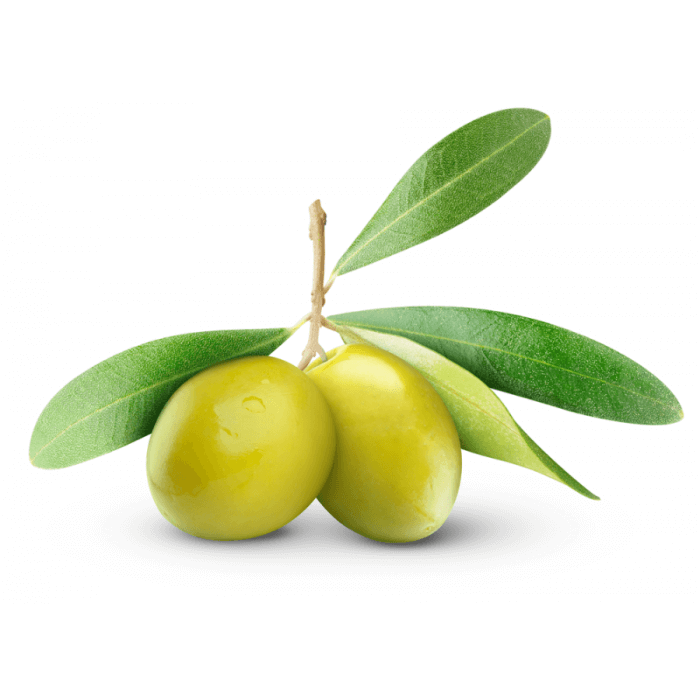 SKVALAN (SQUALANE OLIVE)