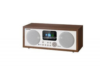 Internet radio stanica Blaupunkt IR10BT