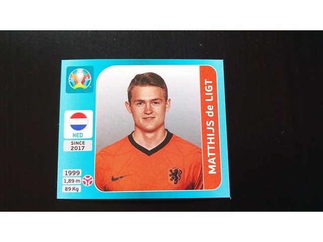 Euro 2020 Panini Tournament edition broj 261