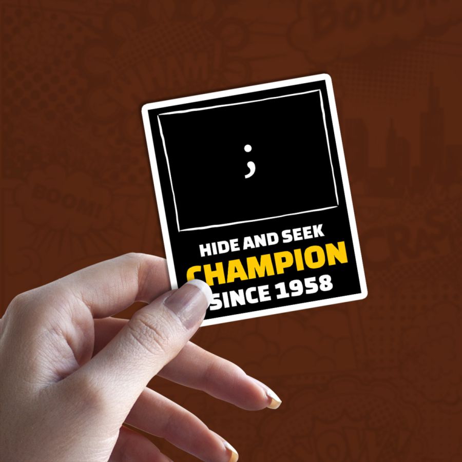 HIDE AND SEEK CHAMPION STIKER