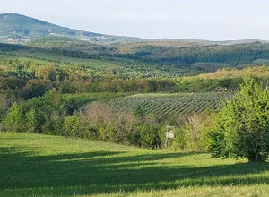 Prodaja Ostale nekretnine - Voždovac, Ripanj