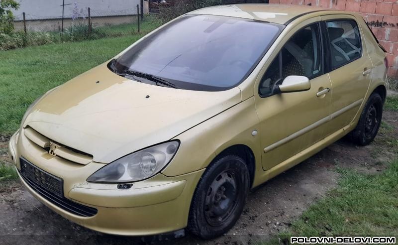 Peugeot 307 Trap I Vesanje