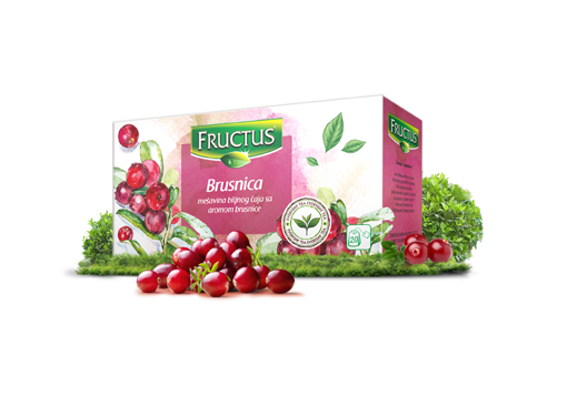 Fructus Everyday 40g Brusnica