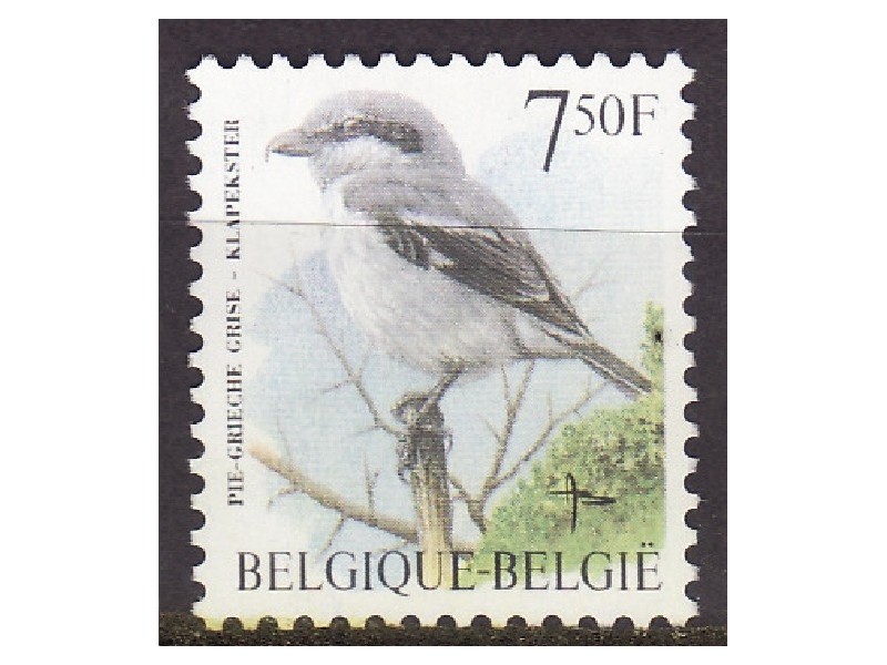 Belgija - ptica