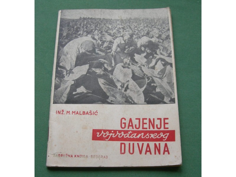 Gajenje vojvođanskog duvana - Inž. M. Malbašić