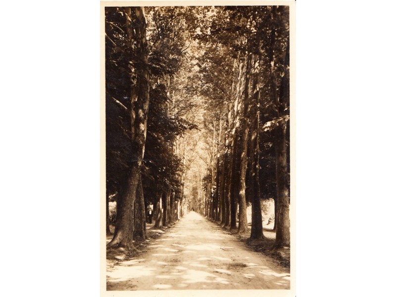 ILIDŽA ,PUT ZA VRELO BOSNE 1950