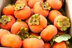 Asian Persimmon - Kaki (10 semenki)