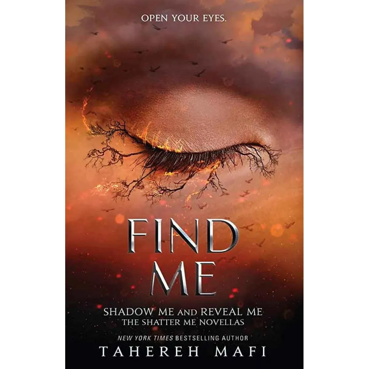 FIND ME TikTok Hit (Shatter me)