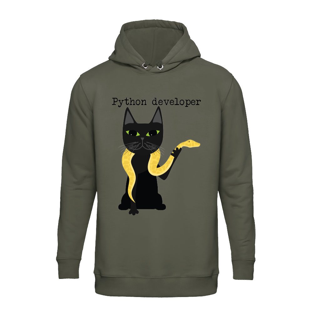 Python developer