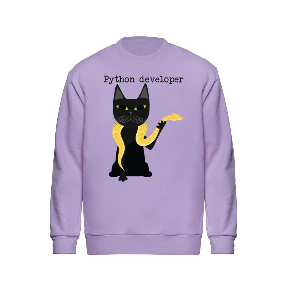 Python developer