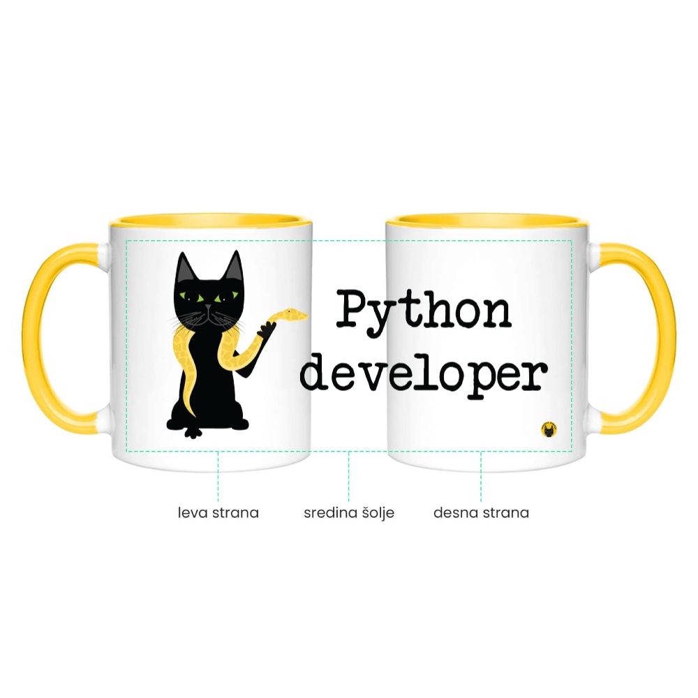 Python developer