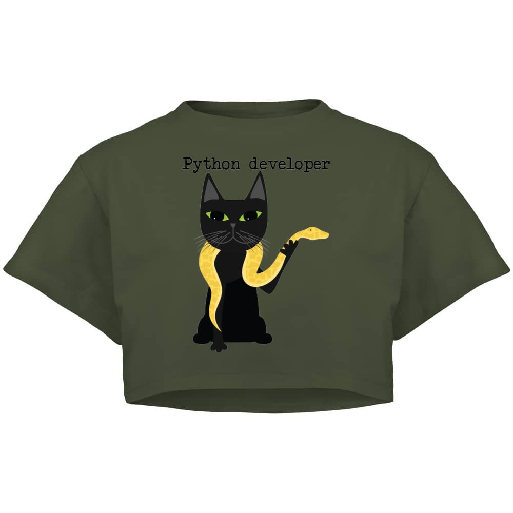Python developer