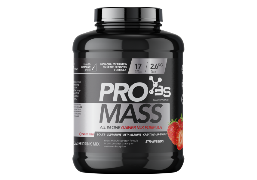 Basic Supplements Pro Mass 2600 gr