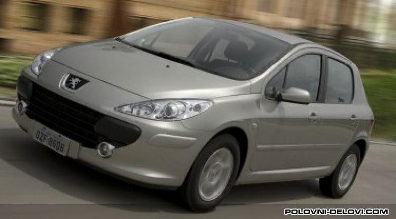 Peugeot 307 Kompletan Auto U Delovima