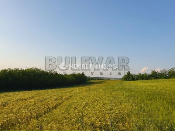 Beograd, Velika Moštanica (Čukarica) –Poljoprivredno zemljište 10073 m2