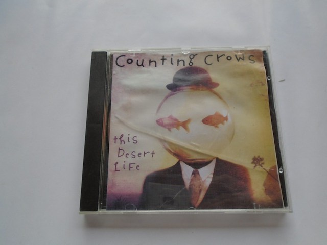 Counting crows, This desert life