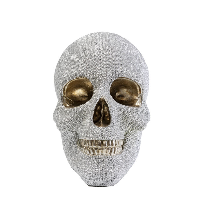 Money Box Skull Crystals