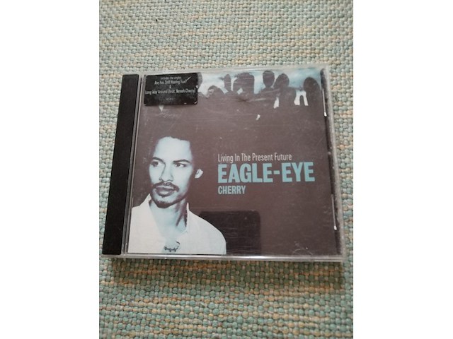 Eagle-eye Cherry living in the present future